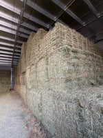 Great Value 2026 2nd Grade Lucerne Horse Hay – GreatHAY