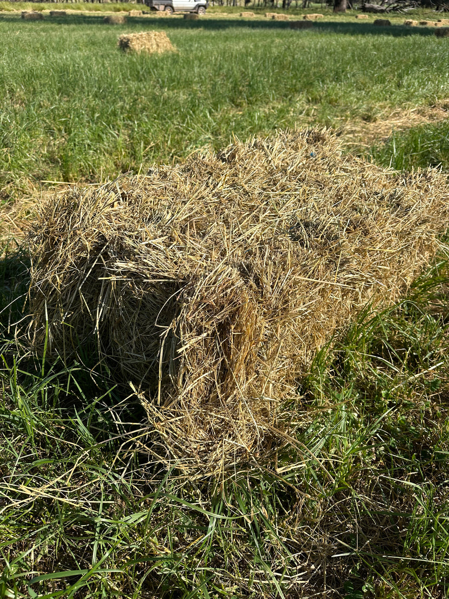 GreatHAY - premium lucerne horse hay sales & affordable delivery