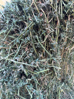 Great Value 2026 2nd Grade Lucerne Horse Hay – GreatHAY