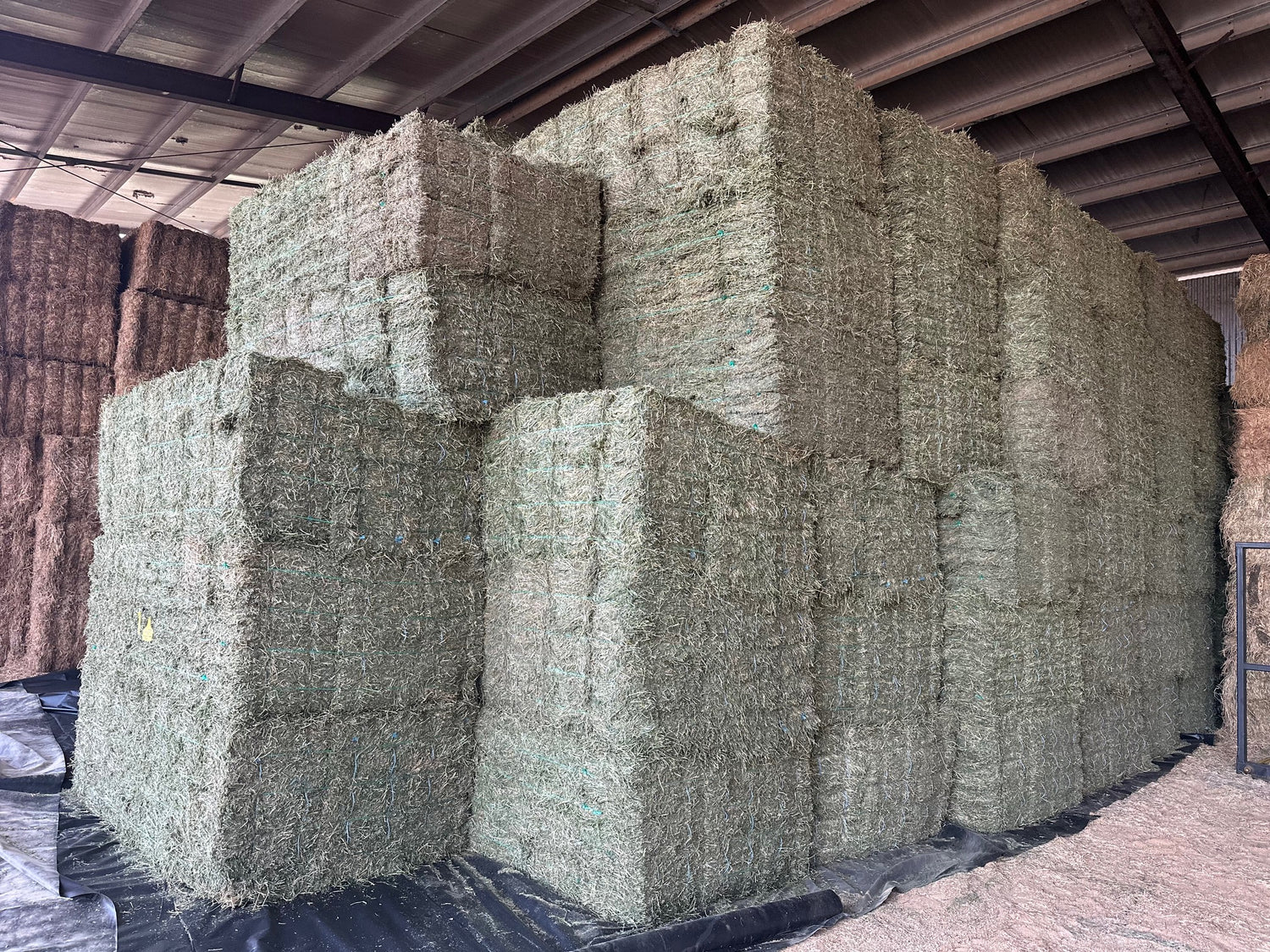 GreatHAY - premium lucerne horse hay sales & affordable delivery