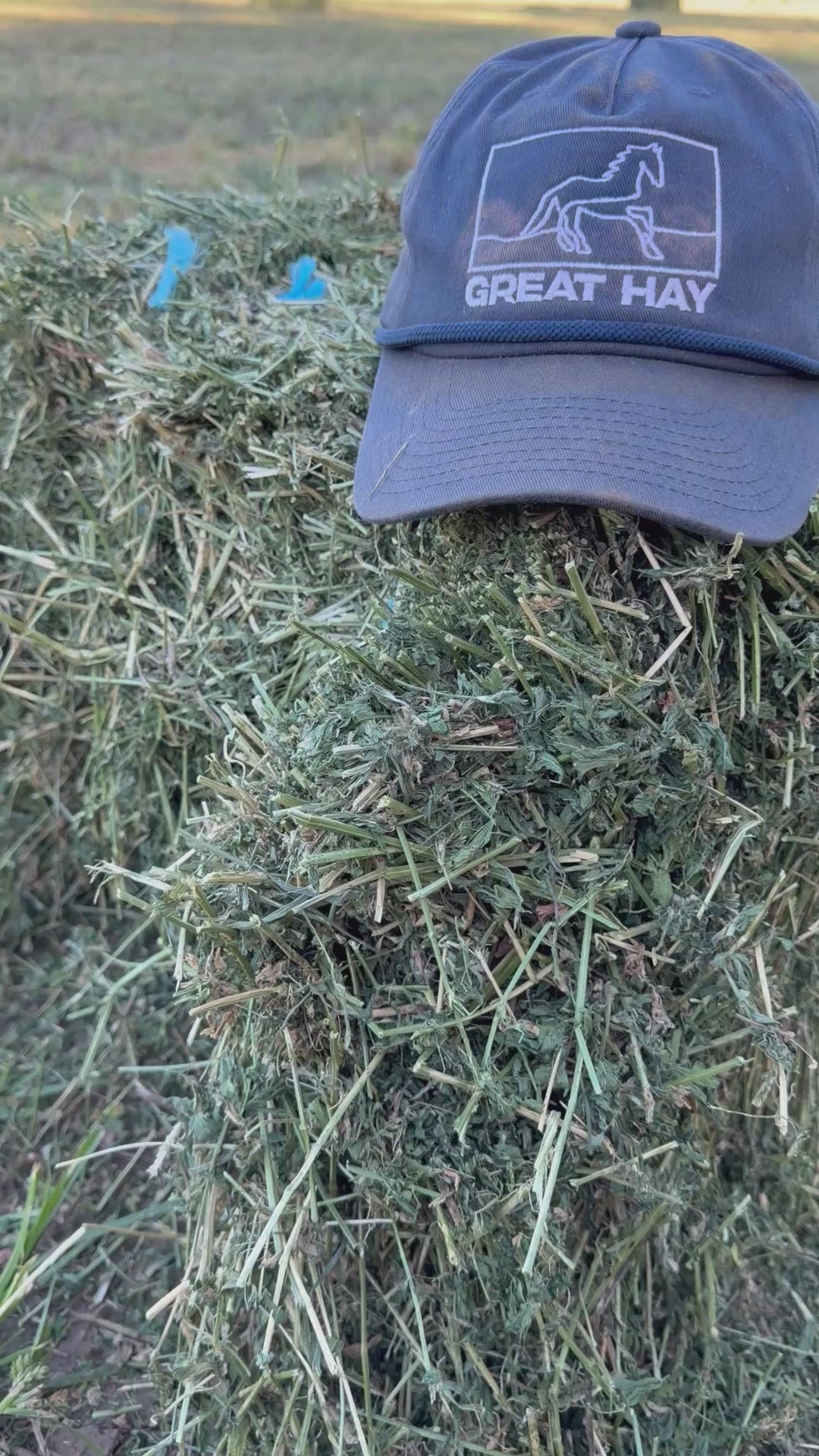 Great Value 2026 2nd Grade Lucerne Horse Hay – GreatHAY